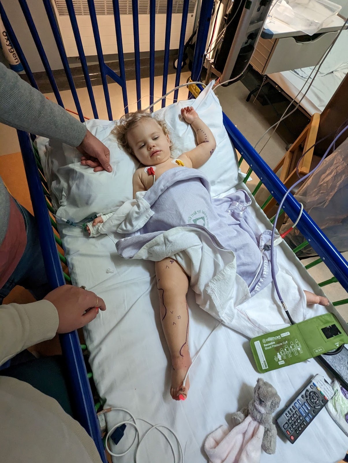 Sofia – Sepsis Australia